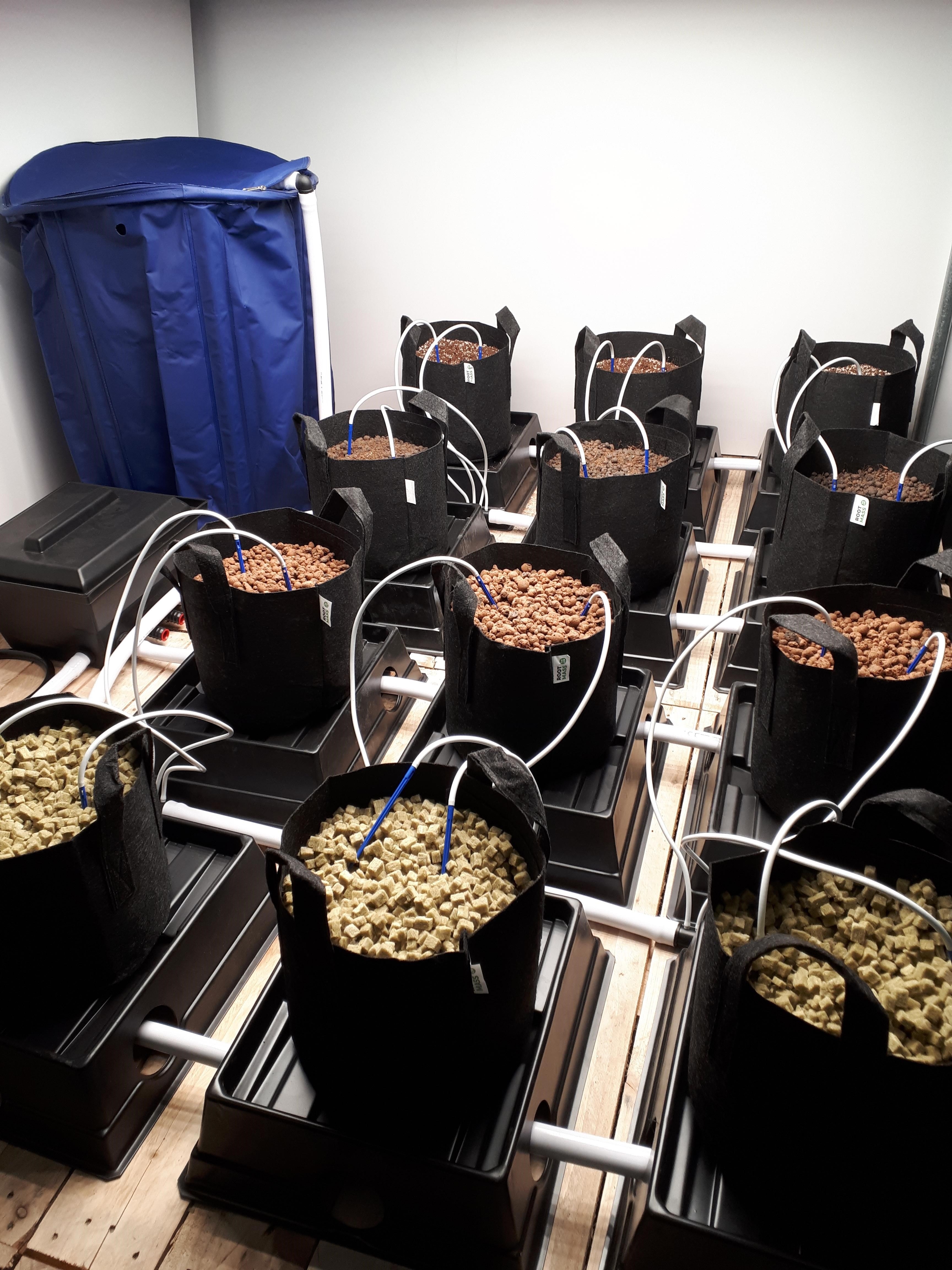 Critical Drip Systems - Lite